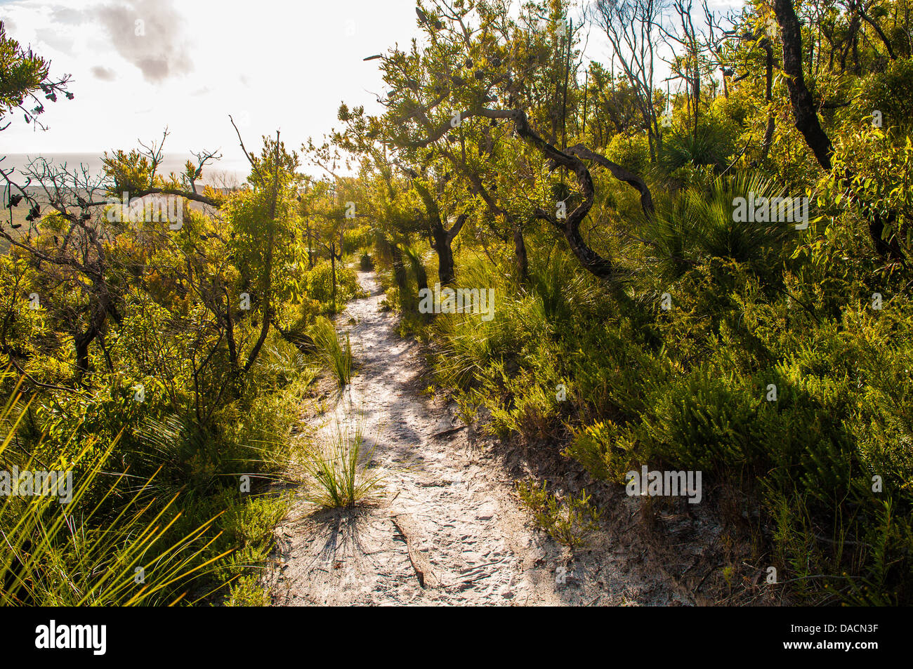 Mt. Tempest, Moreton Island, Queensland, Australia Stock Photo - Alamy