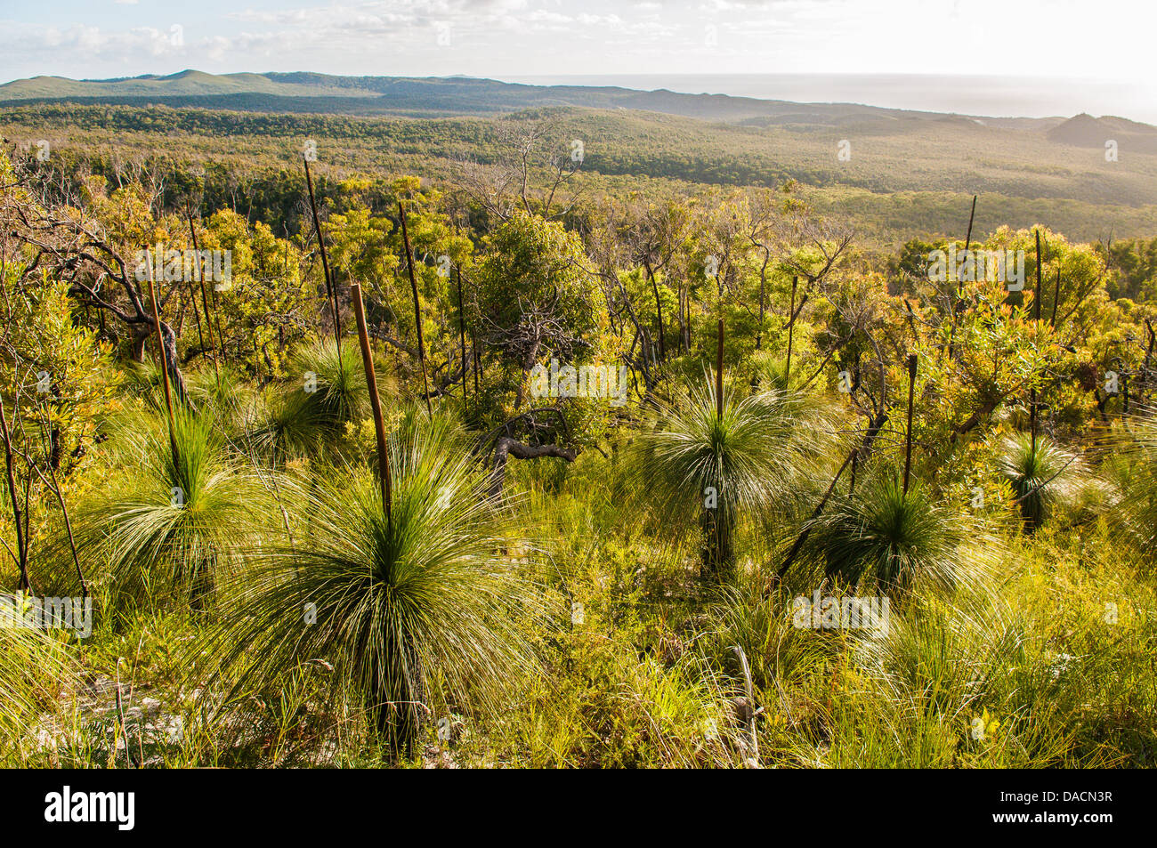 Mt. Tempest, Moreton Island, Queensland, Australia Stock Photo - Alamy