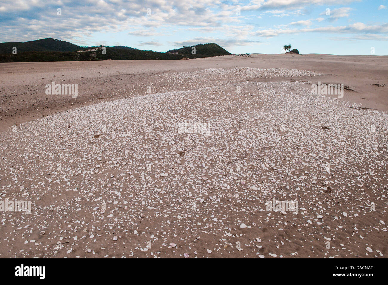 Aboriginal australia hi-res stock photography and images - Alamy