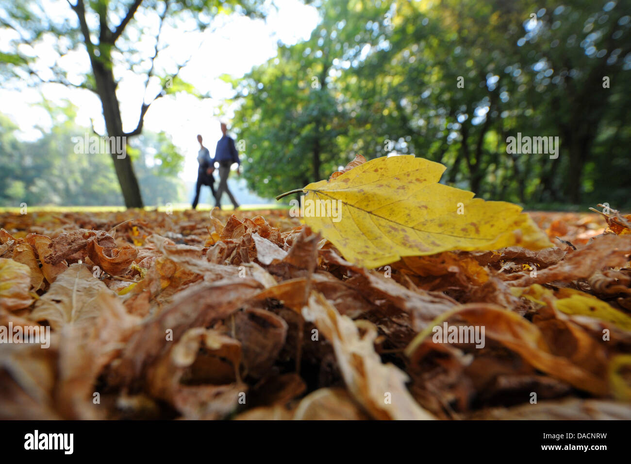 David hain hi-res stock photography and images - Alamy