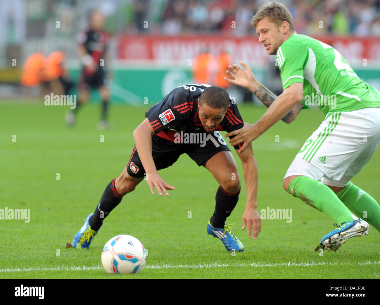 Sam Marco High Resolution Stock Photography and Images - Alamy