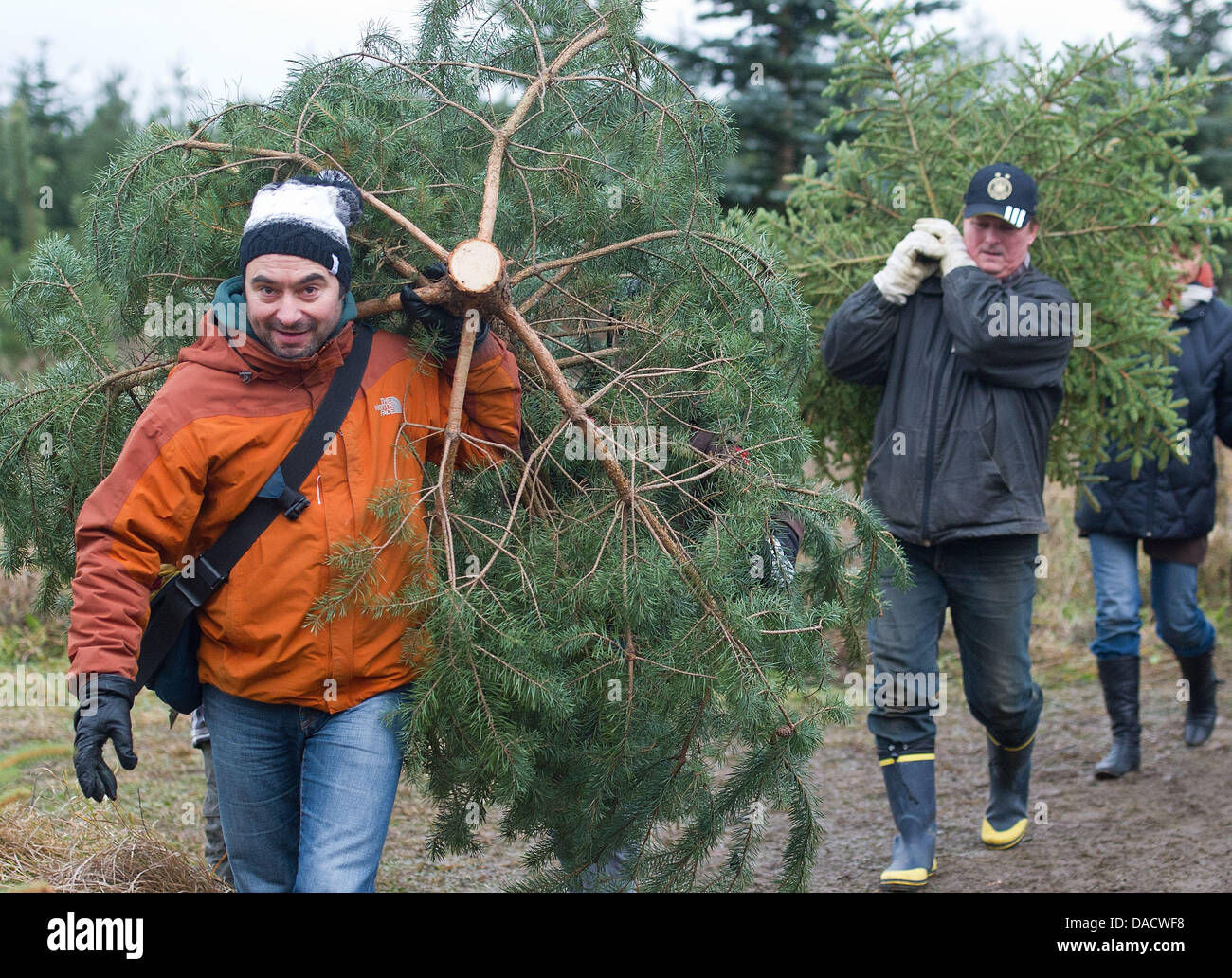 Two men cutting trees hi-res stock photography and images - Alamy