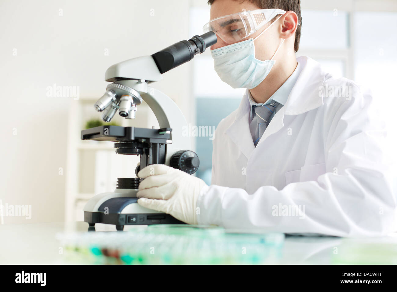 Adult specimens hi-res stock photography and images - Alamy