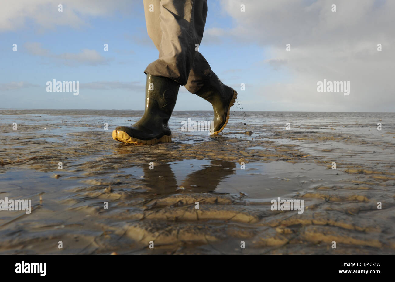 People walk across the mud flats towards the hallig Oland, Germany, 18 ...