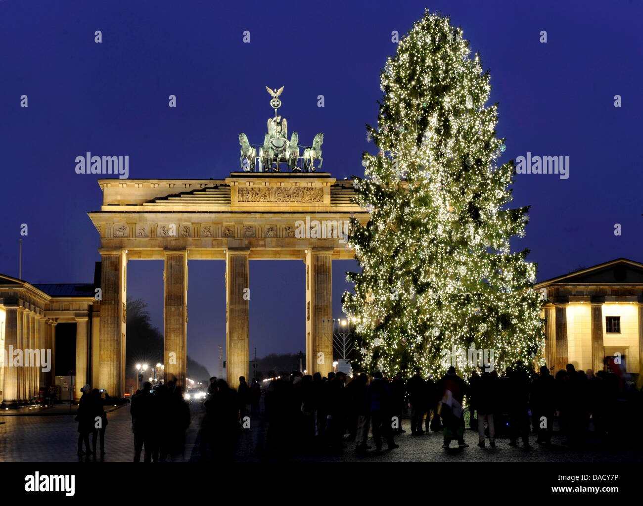 The Christmas tree is lit up festively in front of the Brandenburg Gate ...
