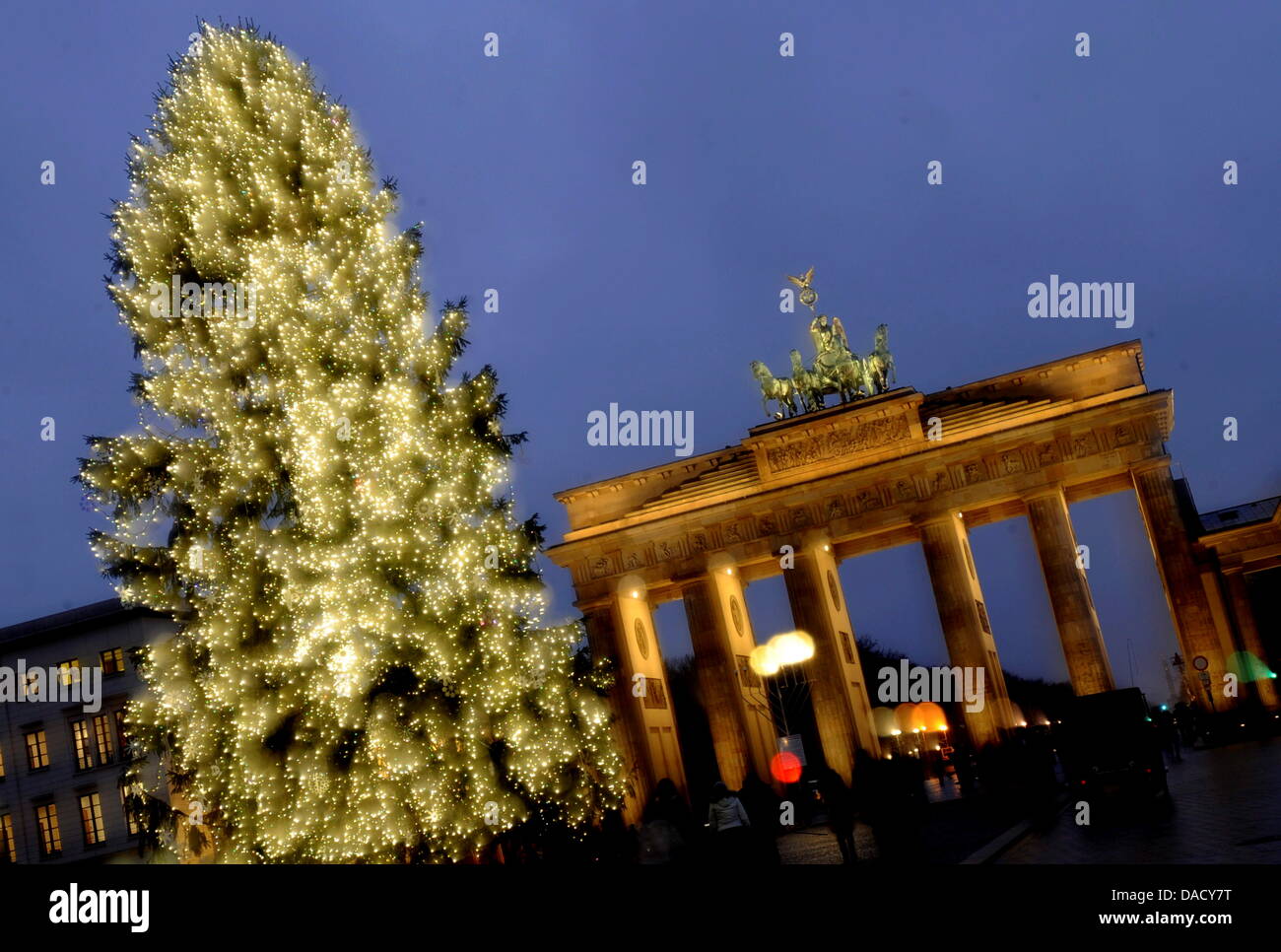 The Christmas tree is lit up festively in front of the Brandenburg Gate ...