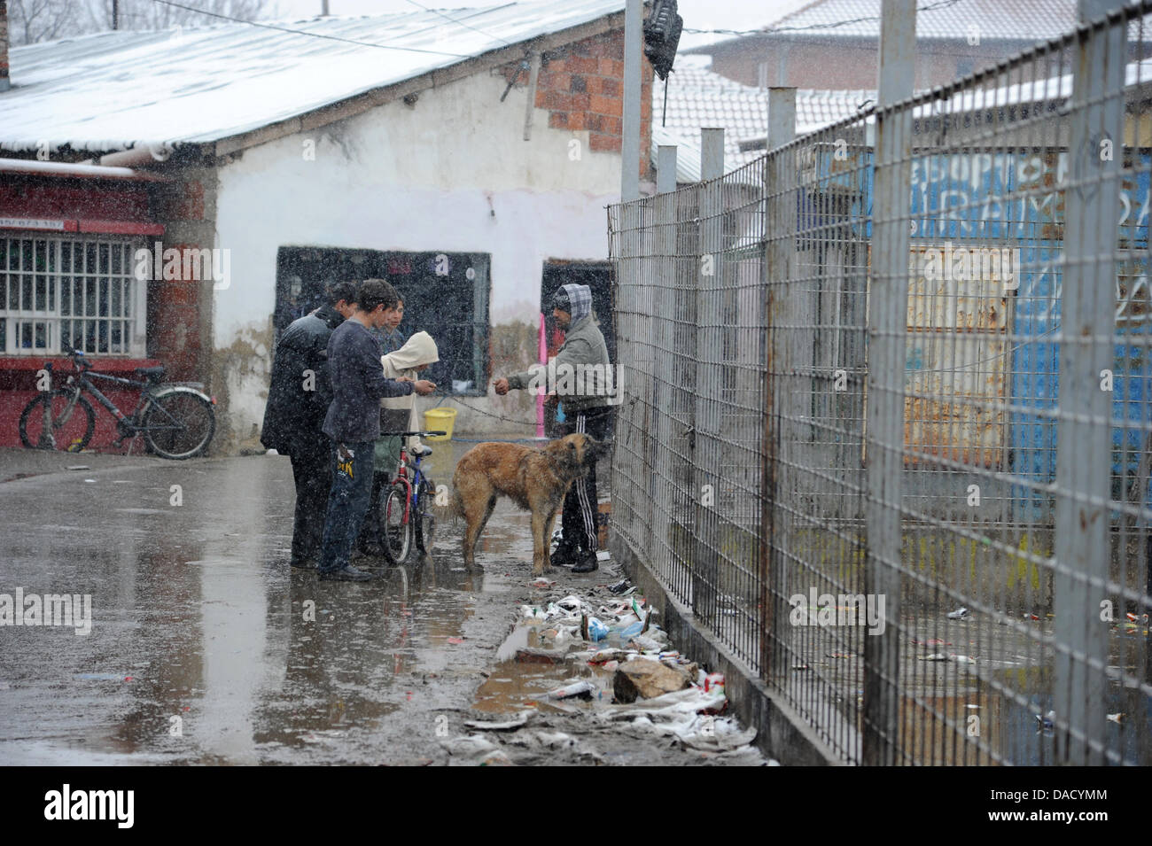 A street in a poor neighbourhood is pictured in Kosovo Polje, Kosovo ...