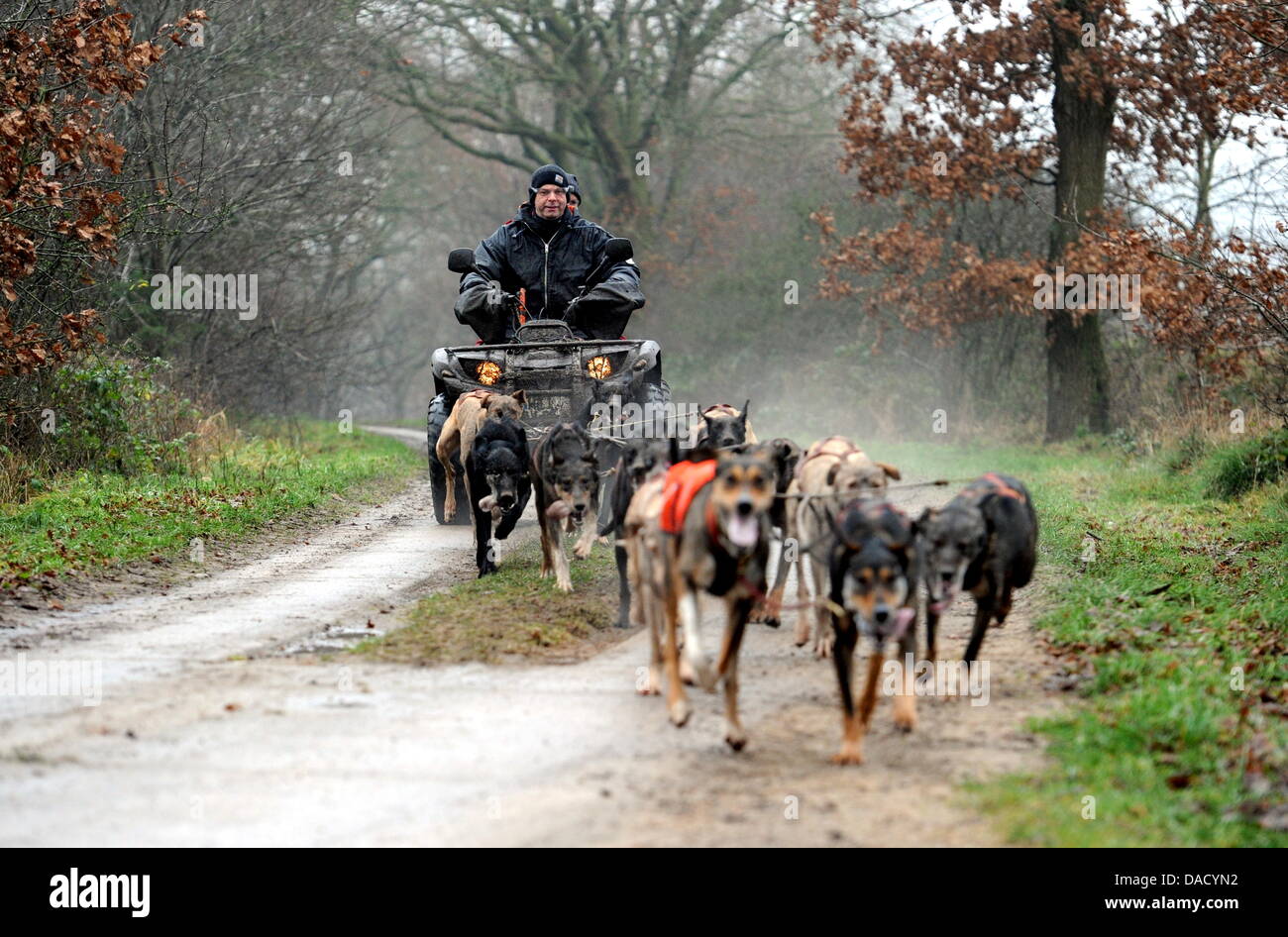 Michael Tetzner takes a practice lap with his dogs in a forest area ...