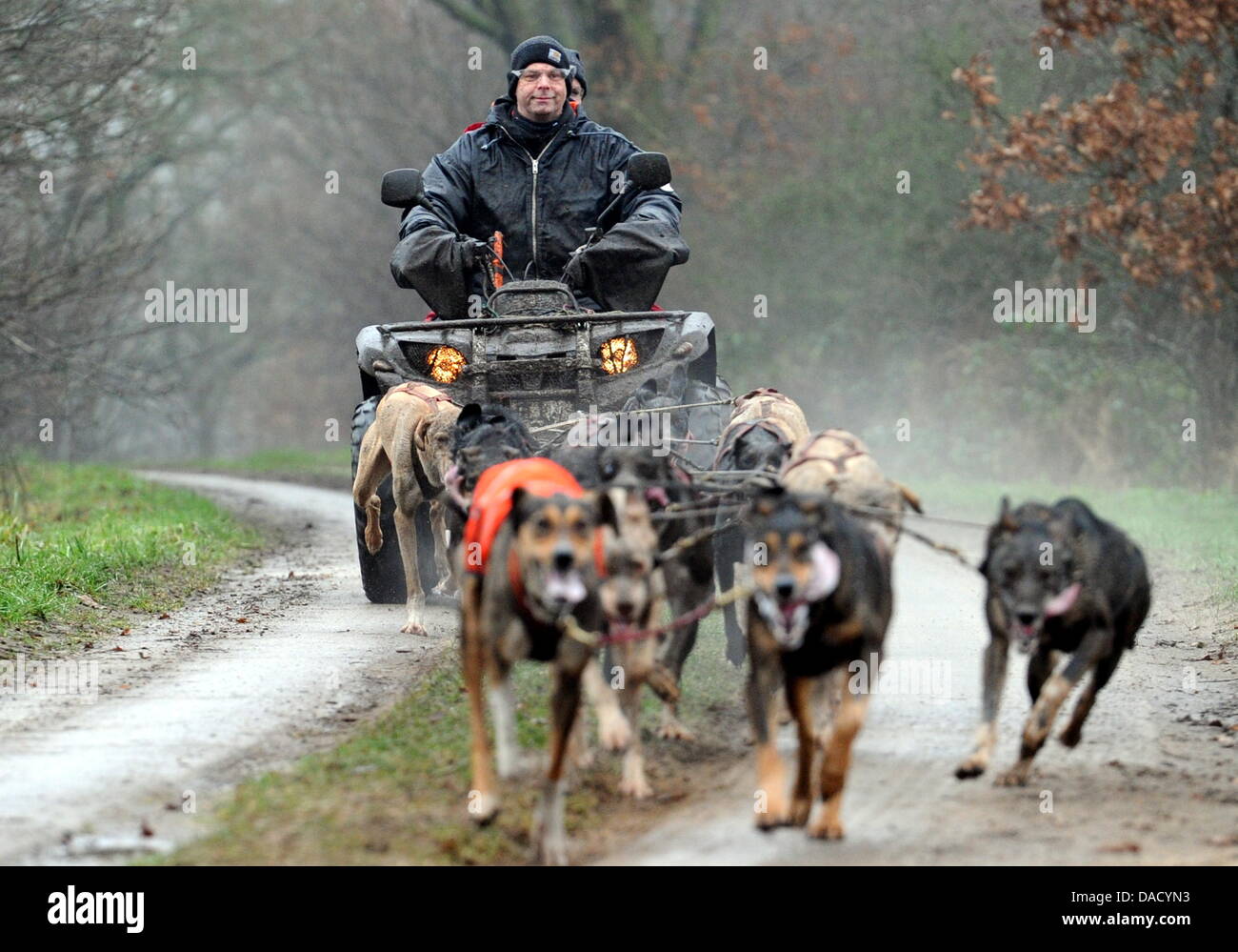 Michael Tetzner takes a practice lap with his dogs in a forest area ...
