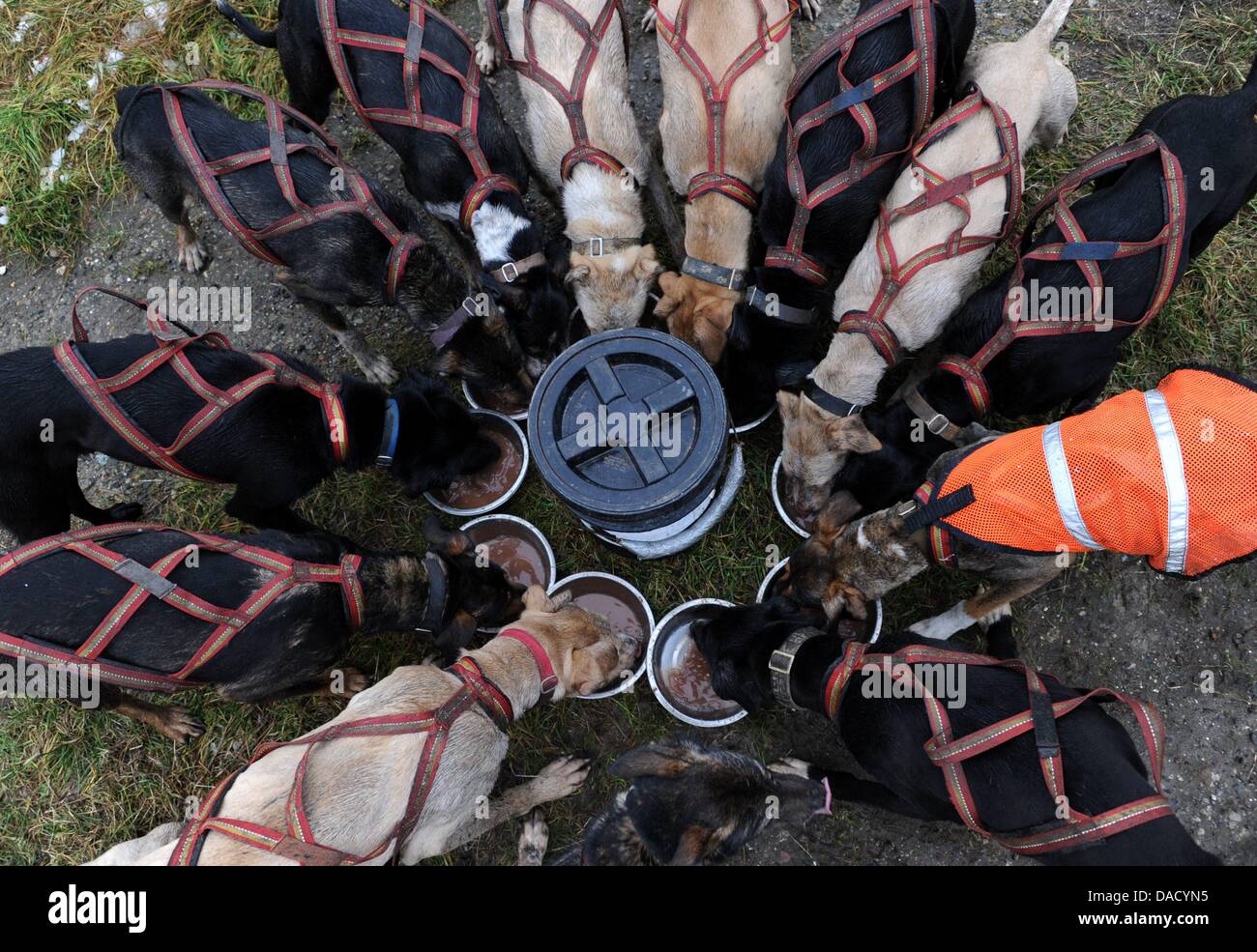 Michael Tetzner High Resolution Stock Photography and Images - Alamy