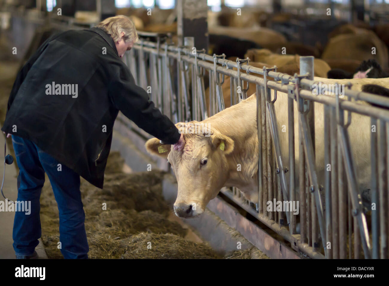 150 hectares hi-res stock photography and images - Alamy