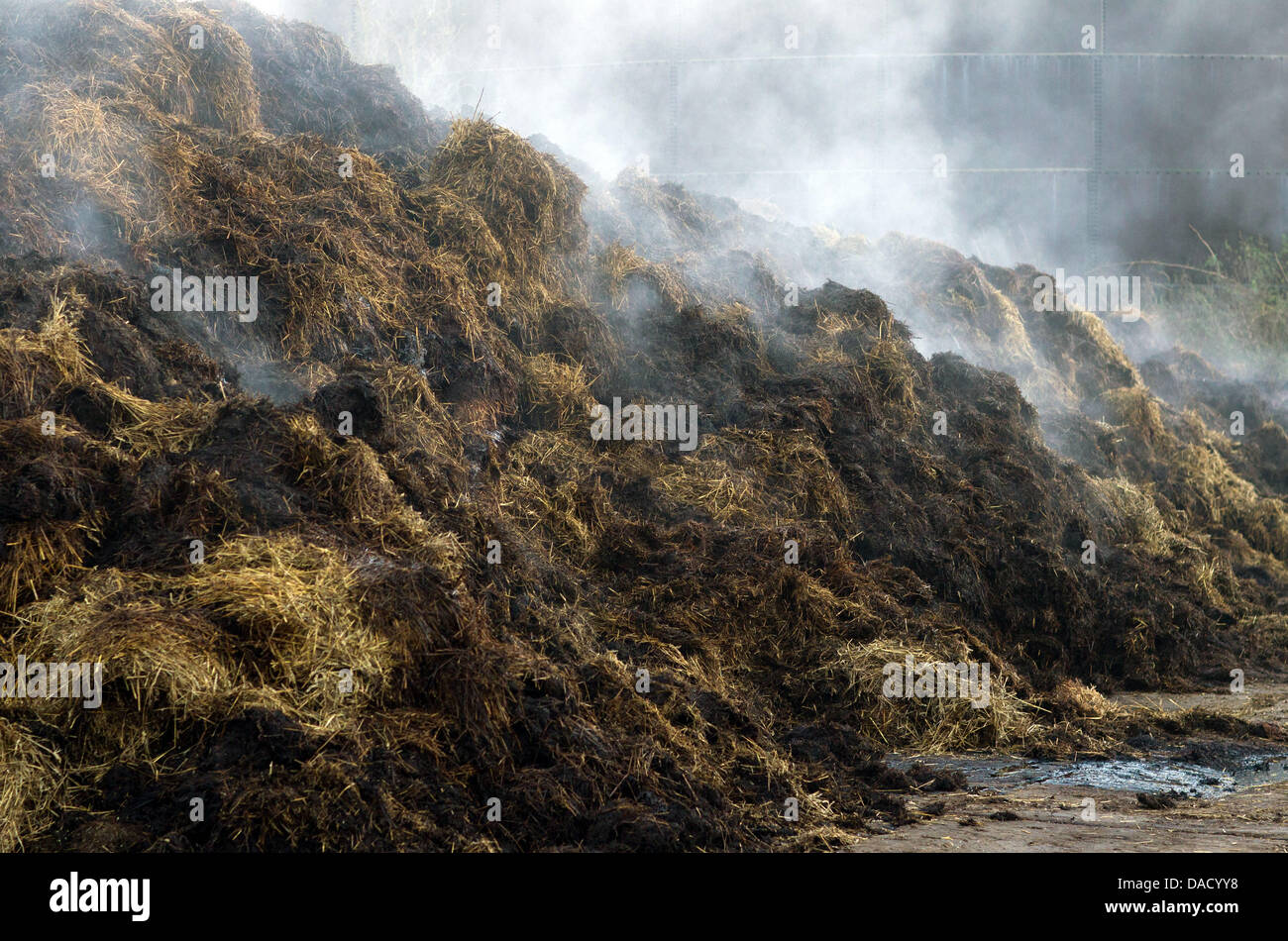 Stall manure hi-res stock photography and images - Alamy