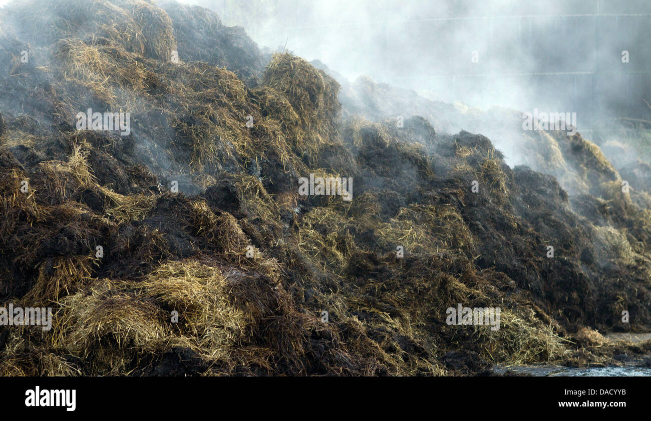 Fresh manure from a stall steams on Gallin farm in Gallin, Germany, 17 ...