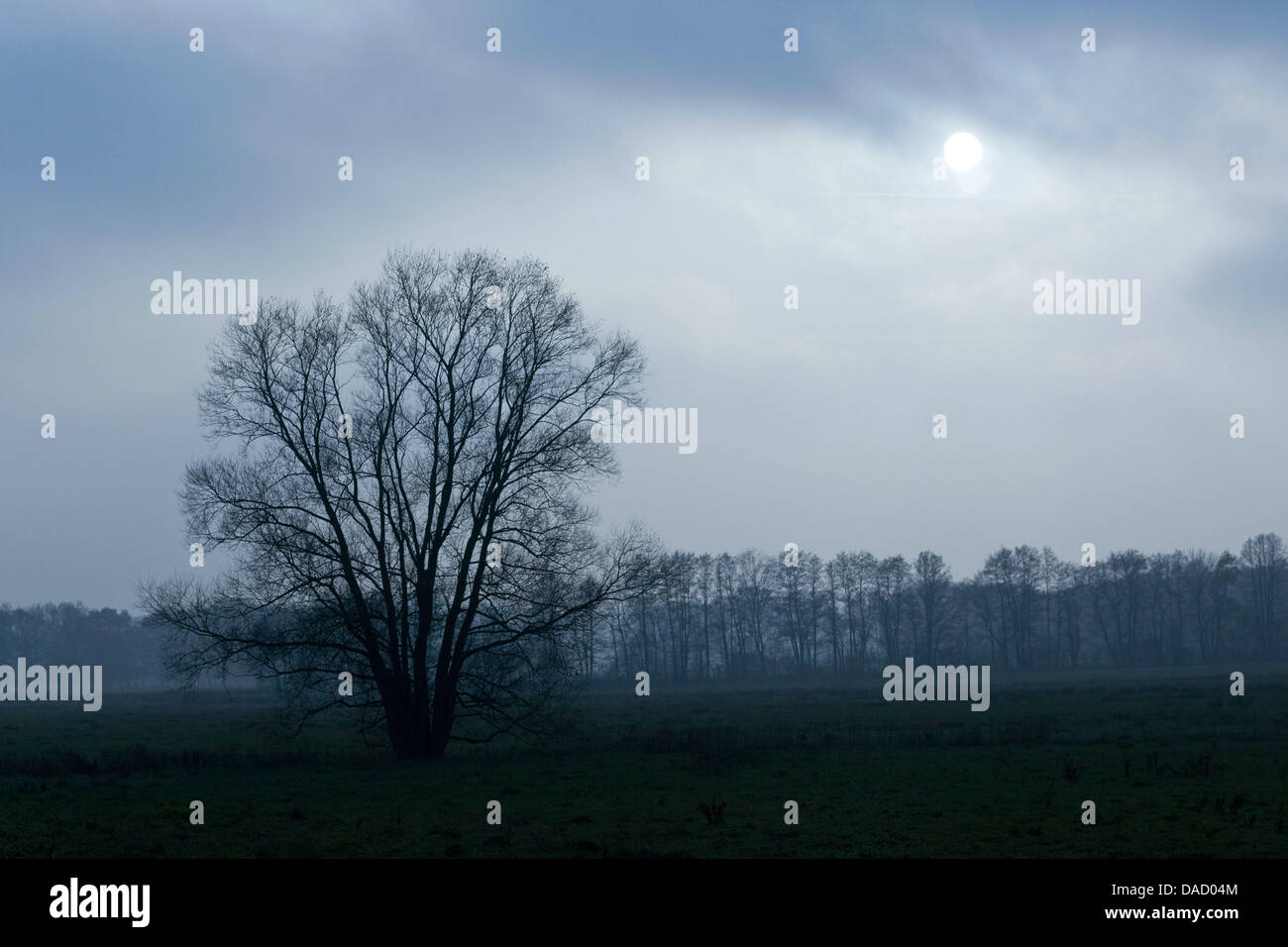 Fog moves across the sky above Gallin farm in Gallin, Germany, 17 ...