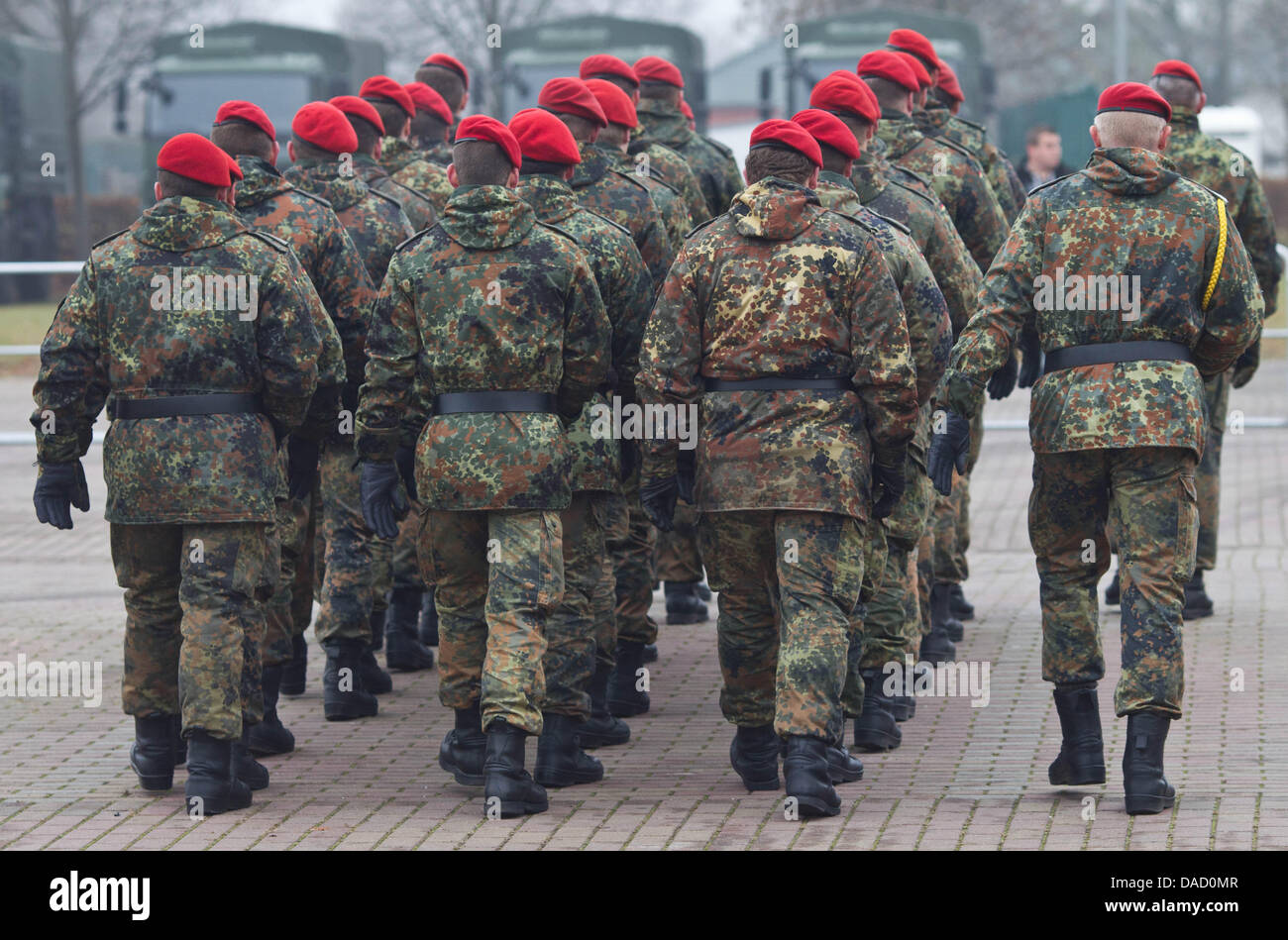 Soldiers of the armoured cavalry squadron 803 of the German Federal ...