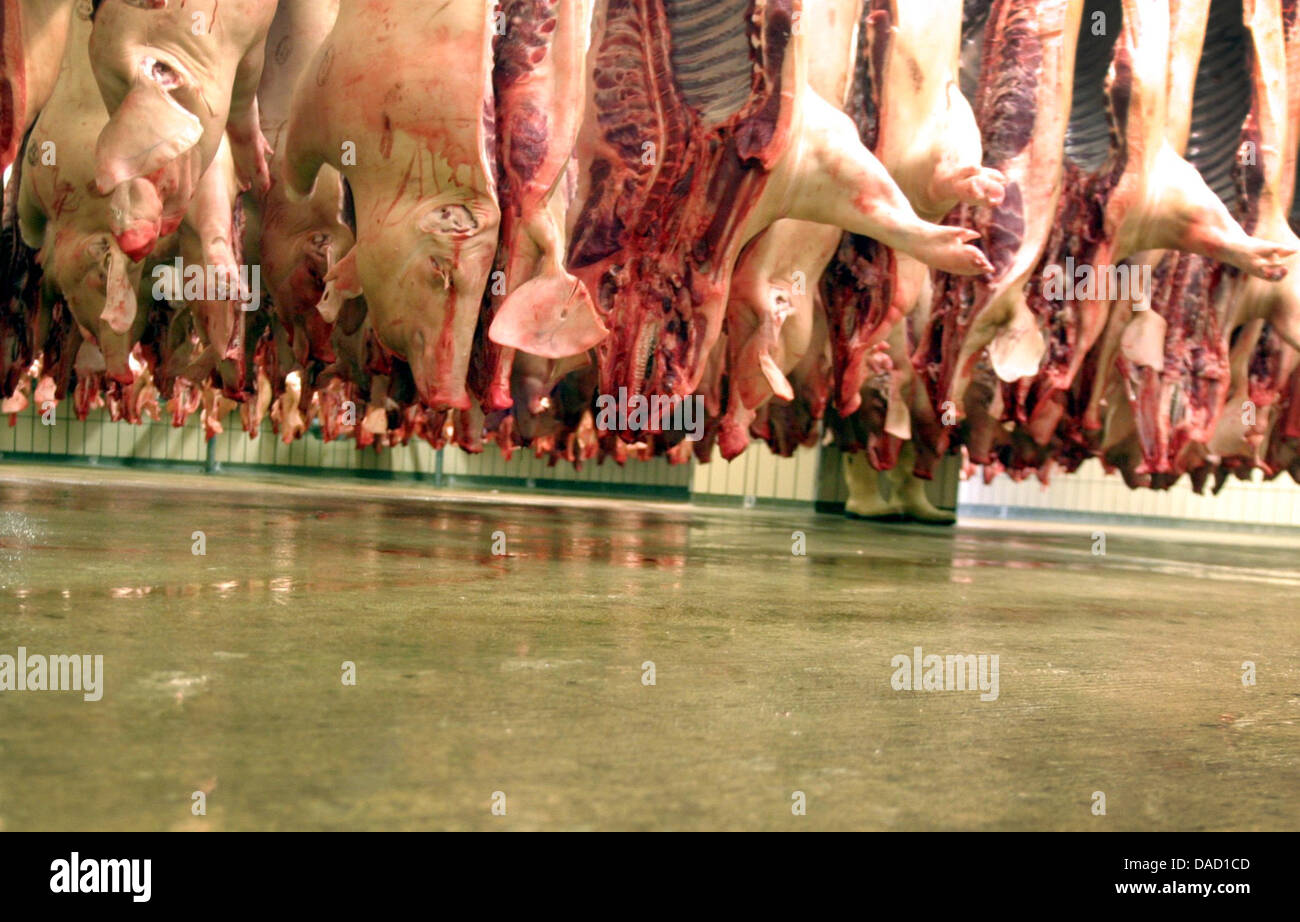 FILE - An archive picture dated 17 July 2003 shows butchered pigs ...