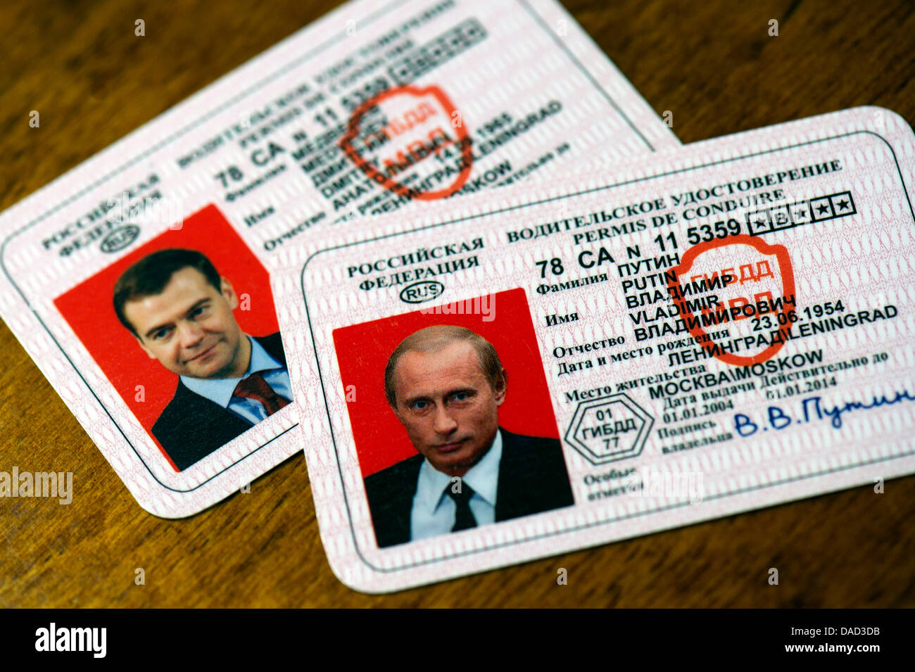 ILLUSTRATION - Faked drivers licenses of the Russian President Dmitry ...