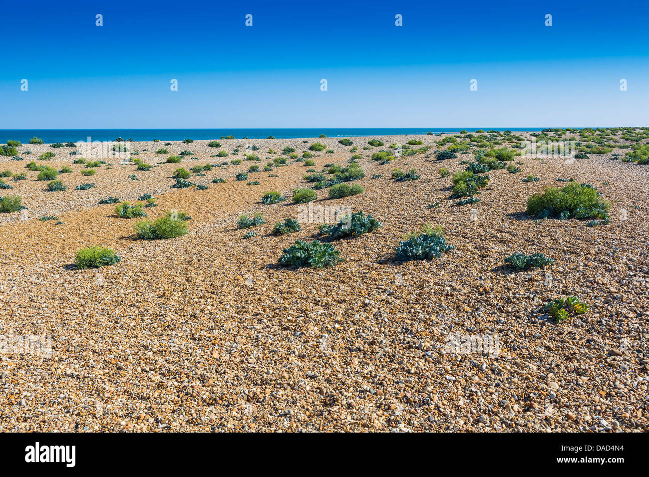 Shingle Beach at Church Norton West Sussex England Stock Photo - Alamy