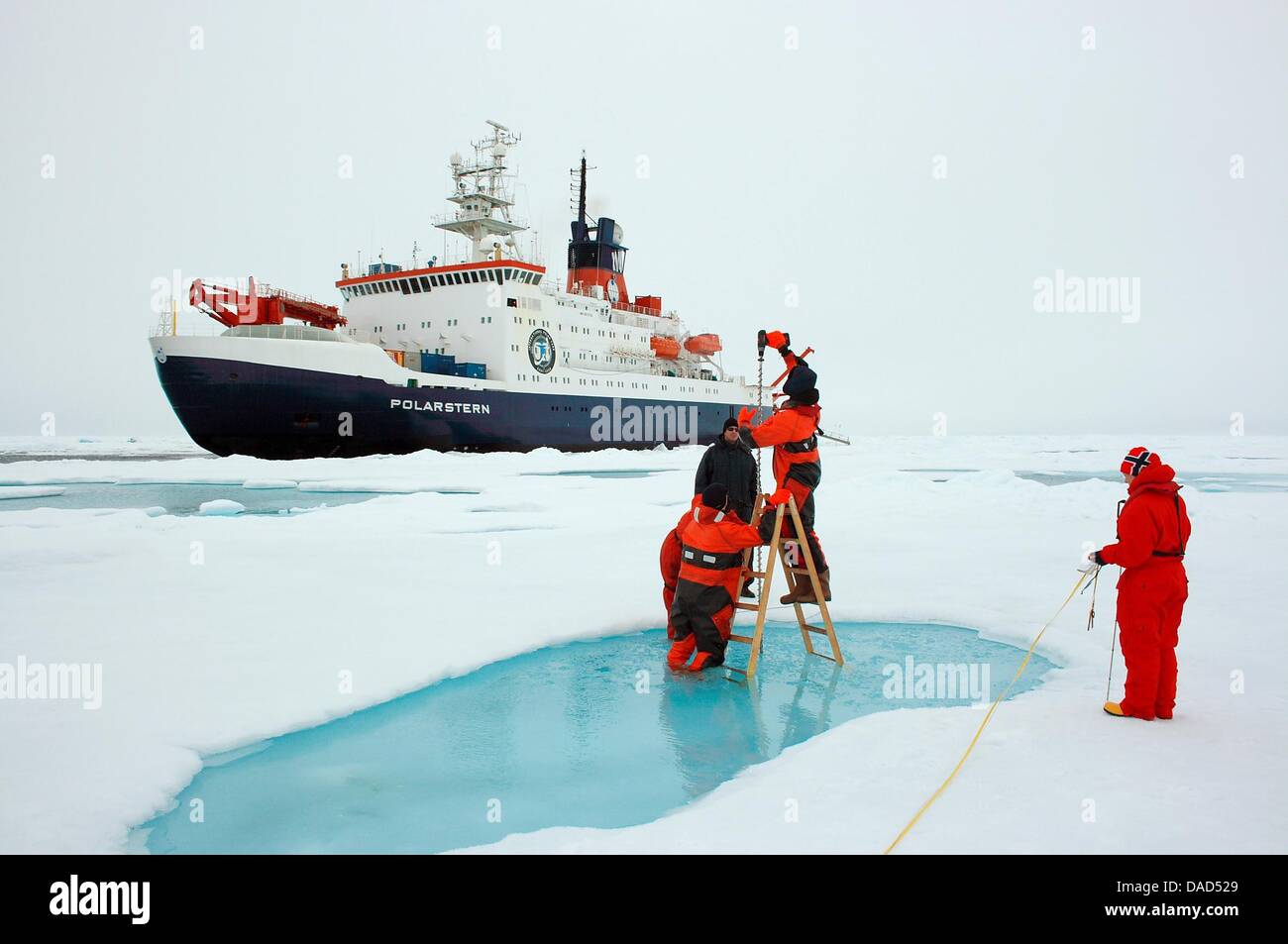 Employee from the Alfred Wegener Institute for Polar and Marine ...