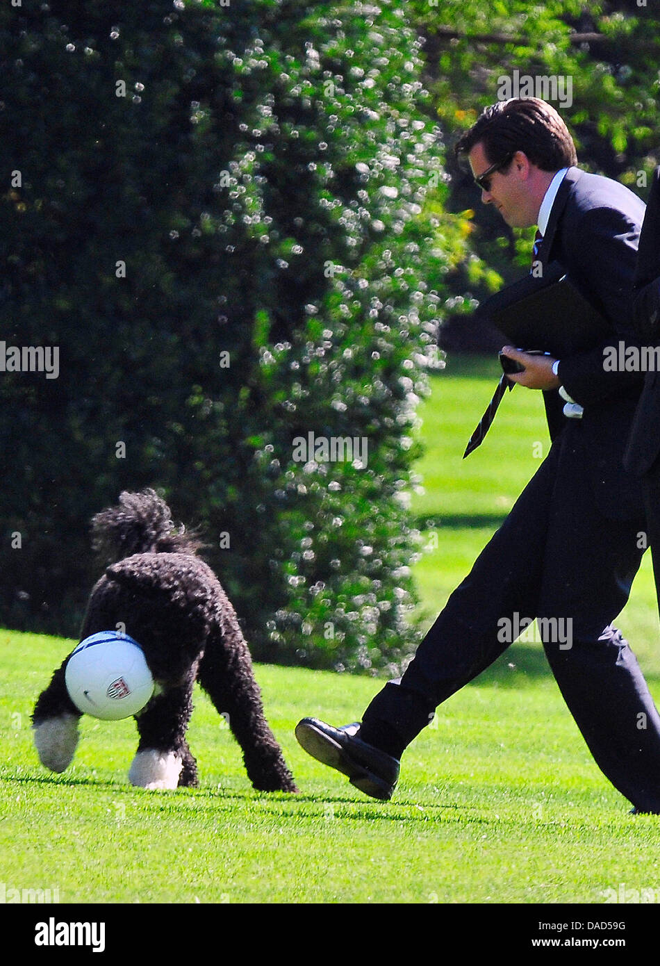 Bo, the Obama family dog, plays Soccer with Alan Fitts, Deputy Director ...