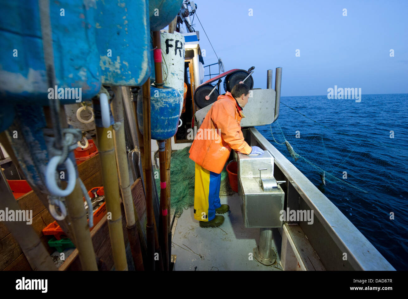 Fisherman Martin Lange takes cod out of a fishing net off the island of ...