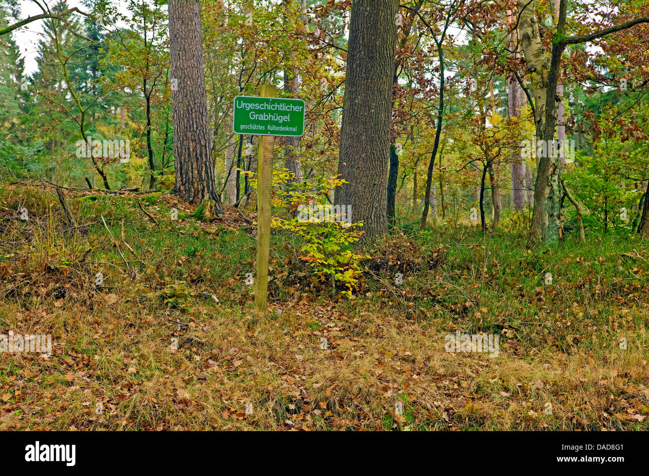 Prehistoric habitats hi-res stock photography and images - Alamy