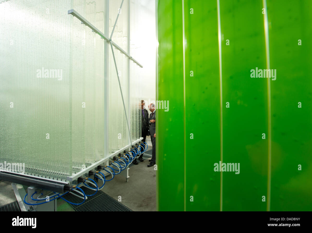 Algae reactor hi-res stock photography and images - Alamy