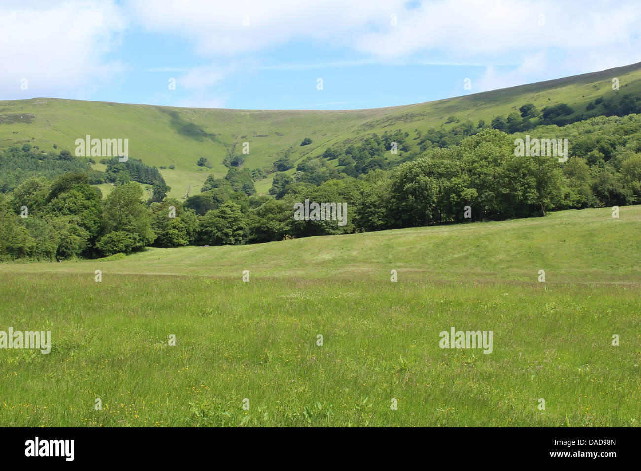 Lush green field wales hi-res stock photography and images - Alamy