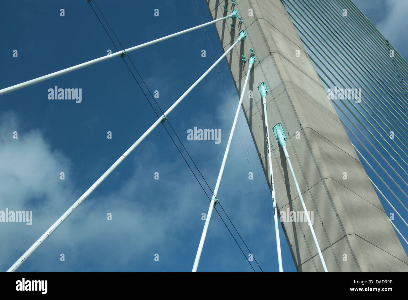 Supporting cables on the Second Severn Crossing bridge Stock Photo - Alamy