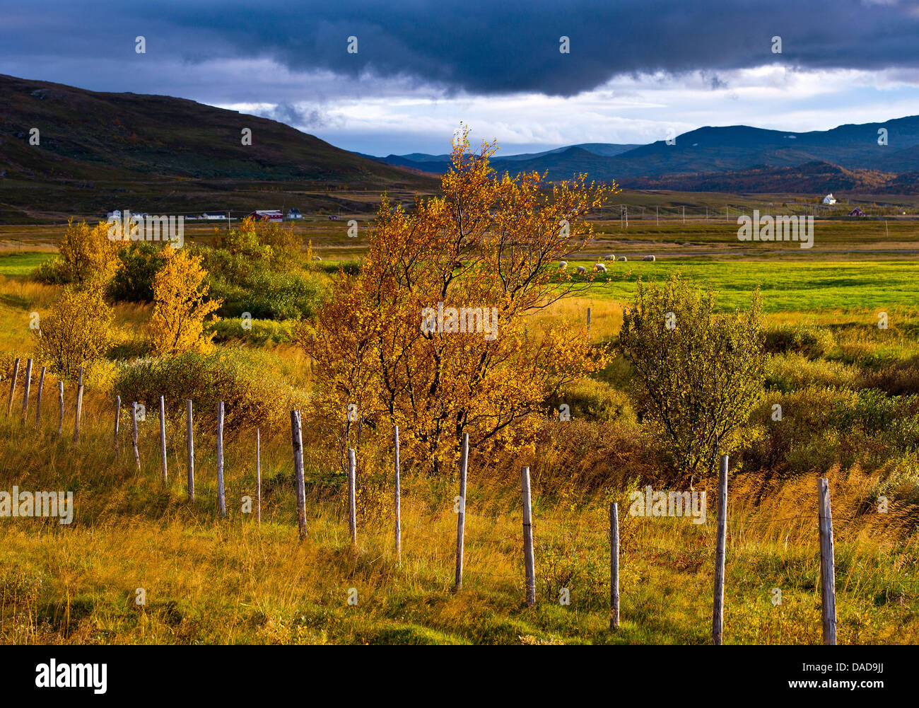 The landscape is colourful in the sun in the Finnmark region around 100 ...