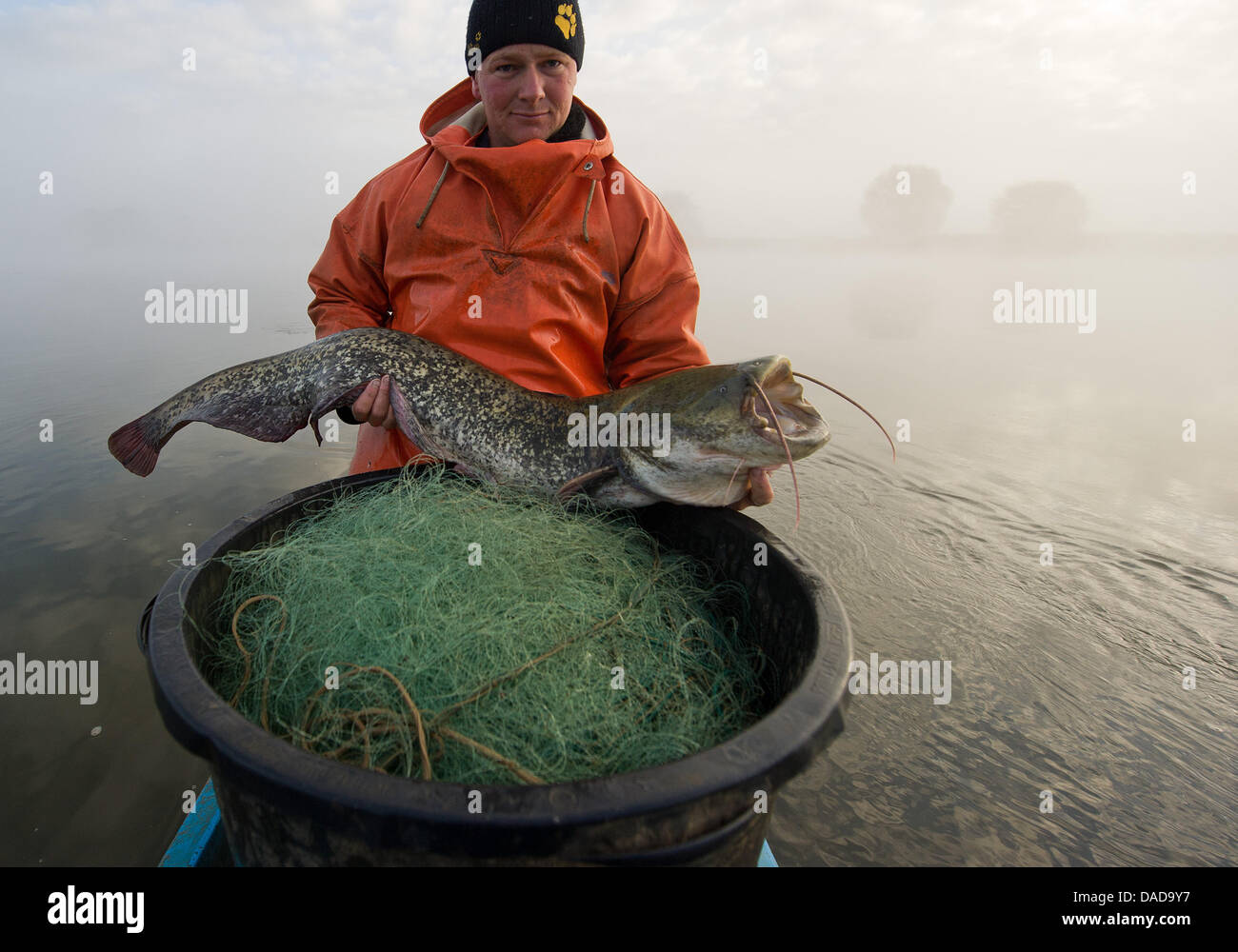 A fisherman presents his catch in the early morning on the river Oder ...