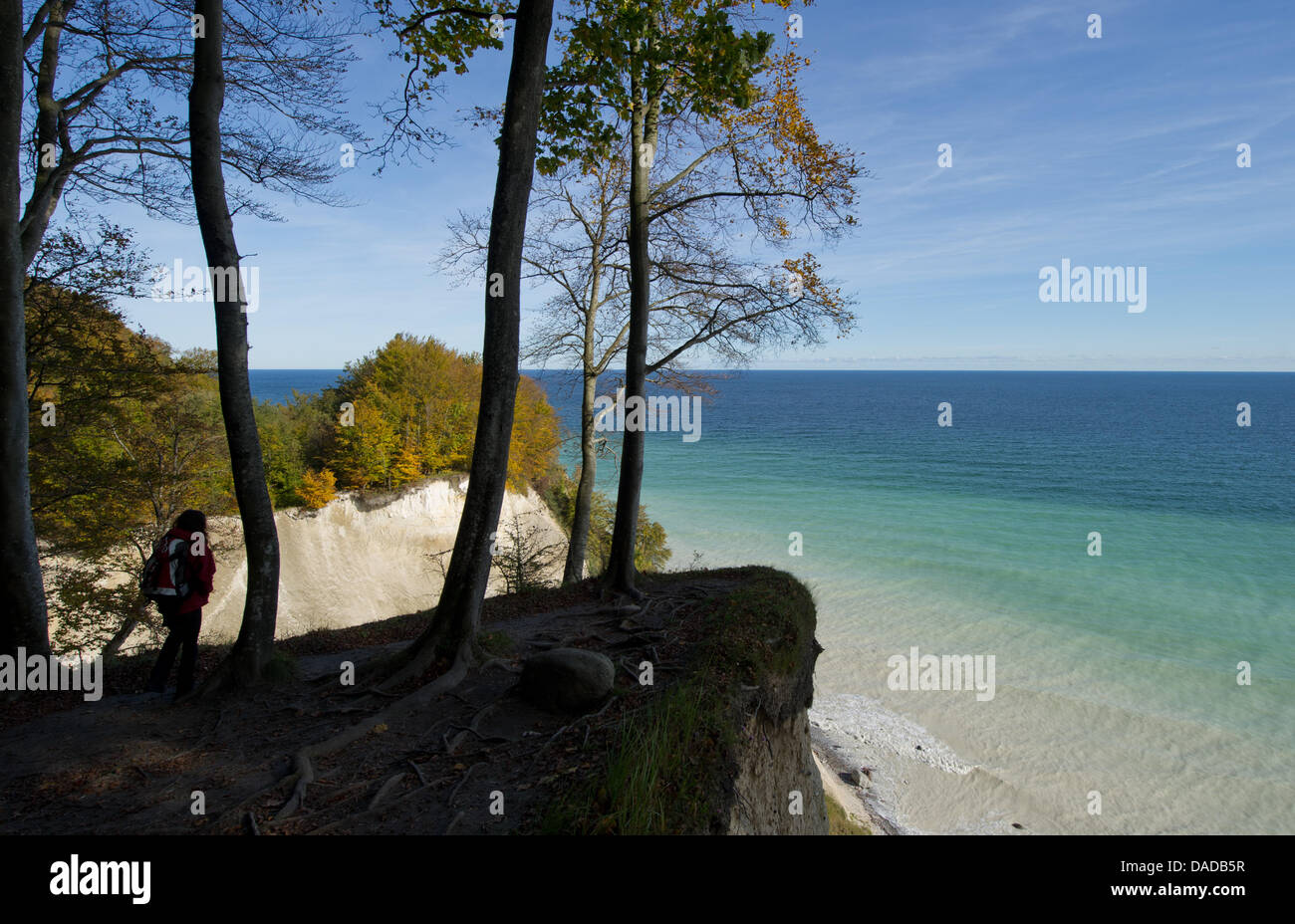 A tourist stands on the chalk cliffs under already green and red ...