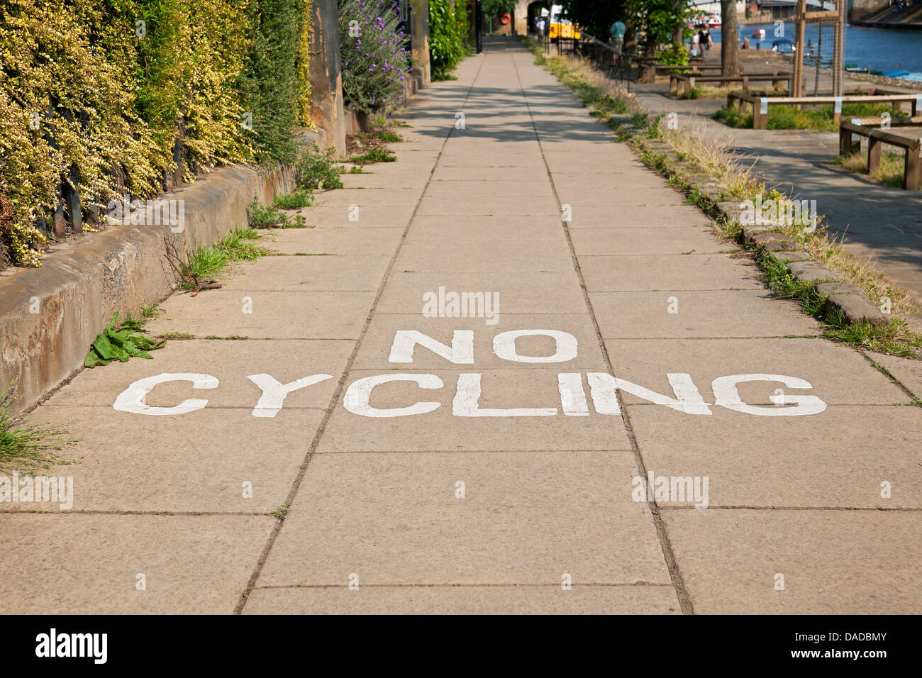 Close up of No cycling sign painted on footpath path pavement York ...
