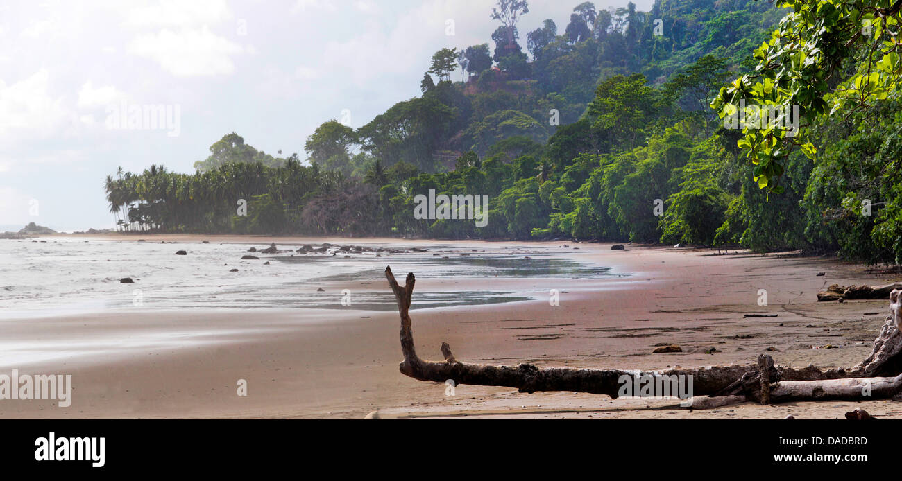 sandy beach of Ballena, Costa Rica Stock Photo - Alamy