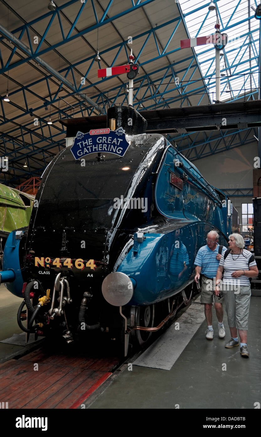 A4 Pacific Class Steam Train locomotive Bittern Great Gathering ...