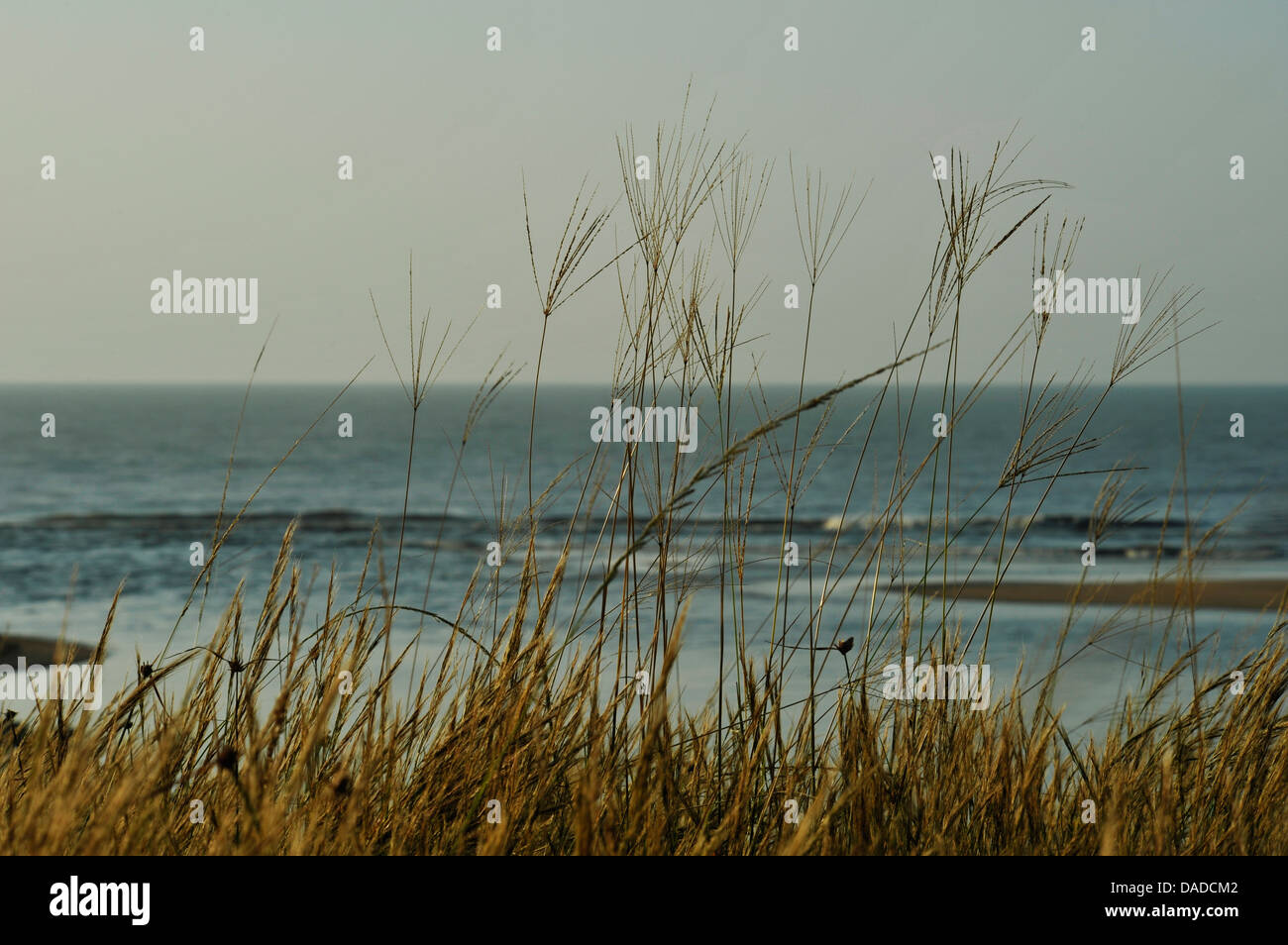 Mouth tugela river south africa hi-res stock photography and images - Alamy