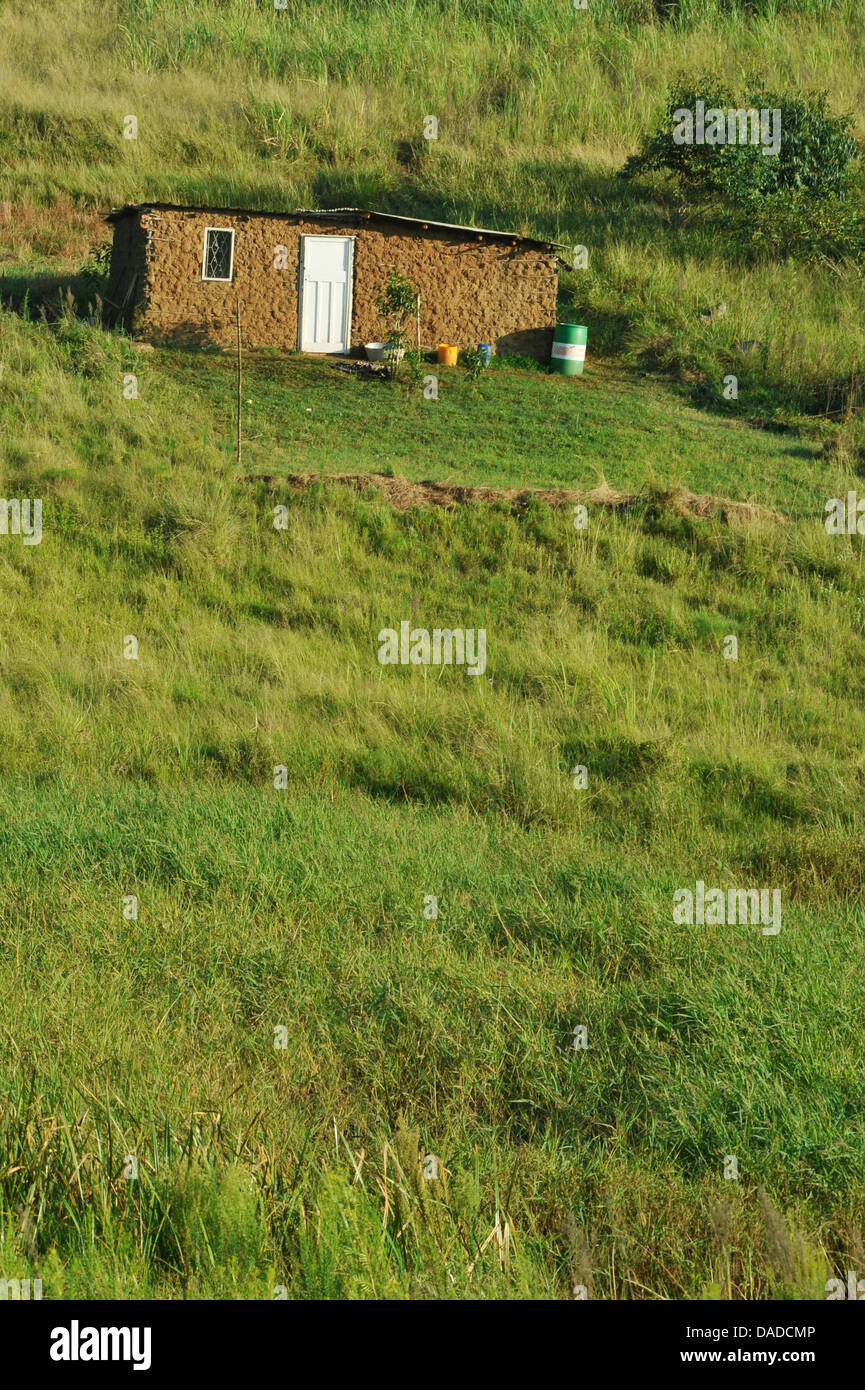 Mandini Wealth Mandini Paper - Pacco