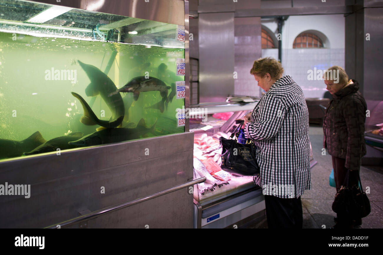 Fishes swim inside an aquarium at the fish market in St. Petersburg ...