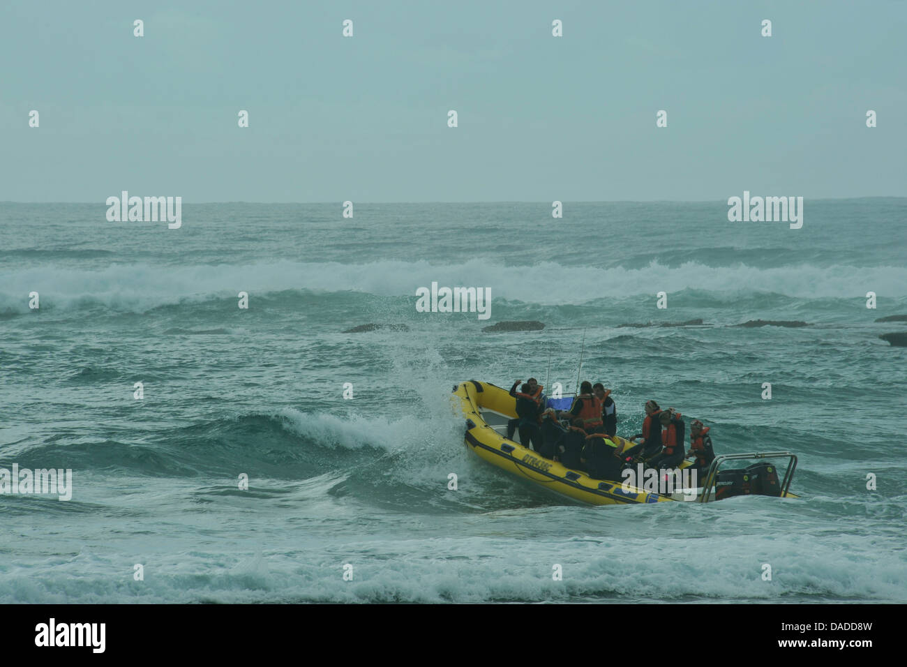 View of RIB boat with scuba divers crashing through waves on a diving ...