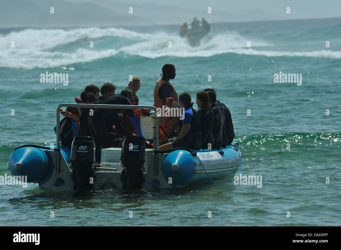 Scene of Rigid Inflatable Boat skipper preparing scuba divers for ...