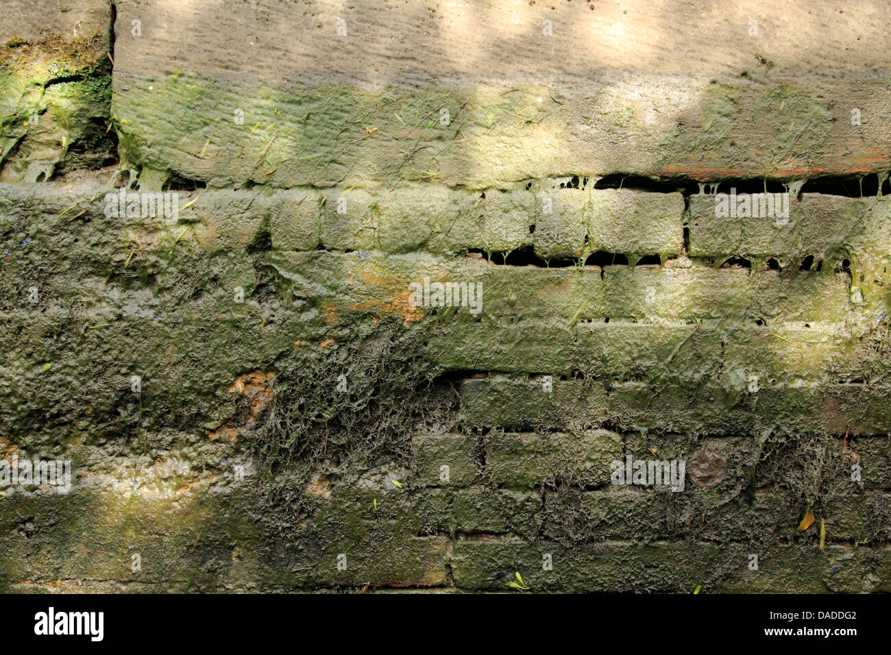 Wet Brickwork High Resolution Stock Photography and Images - Alamy