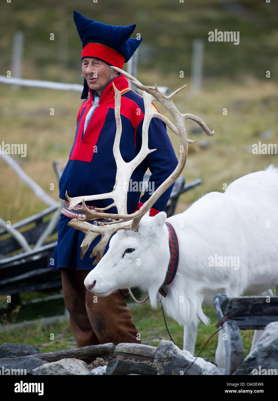 A member of the indigenous Sami people wears a traditional dress in the ...