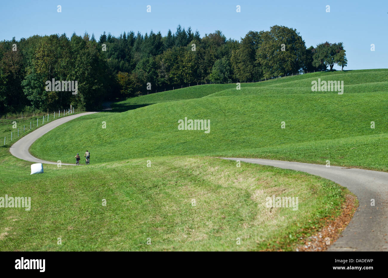 A man and a boy enjoy the sun and ride their bikes through a hilly area ...