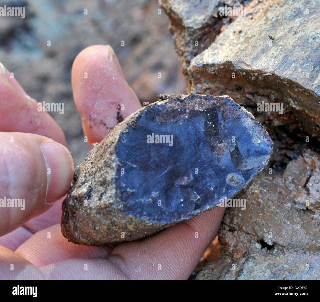 Paleontologist dig site hi-res stock photography and images - Alamy