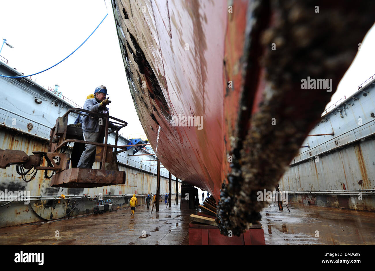 The naval training vessel 'Gorch Fock' is taken to the repair docks of ...
