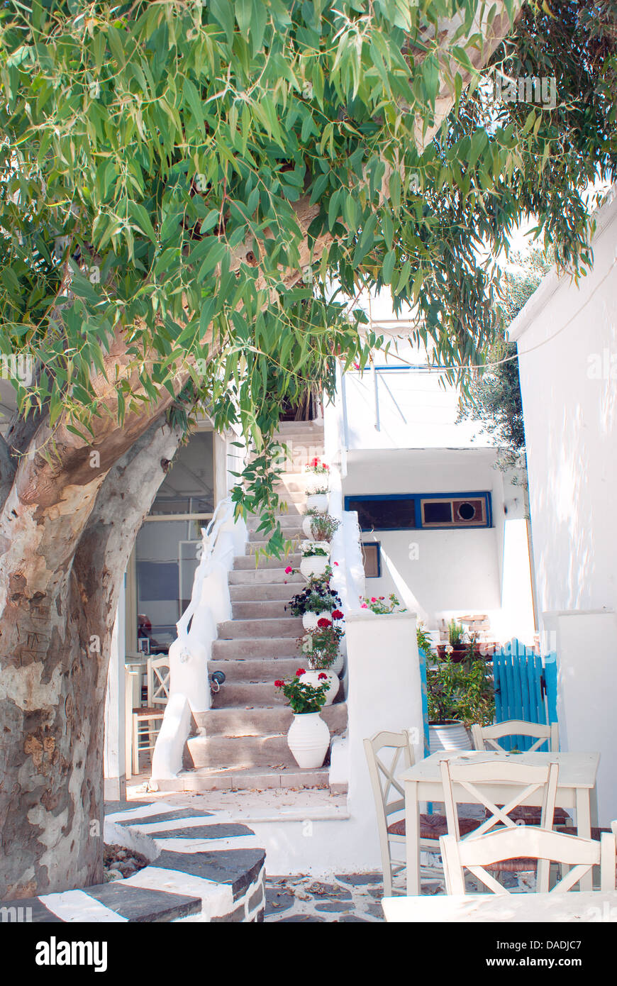 Traditional greek alley on Sifnos island, Greece Stock Photo - Alamy