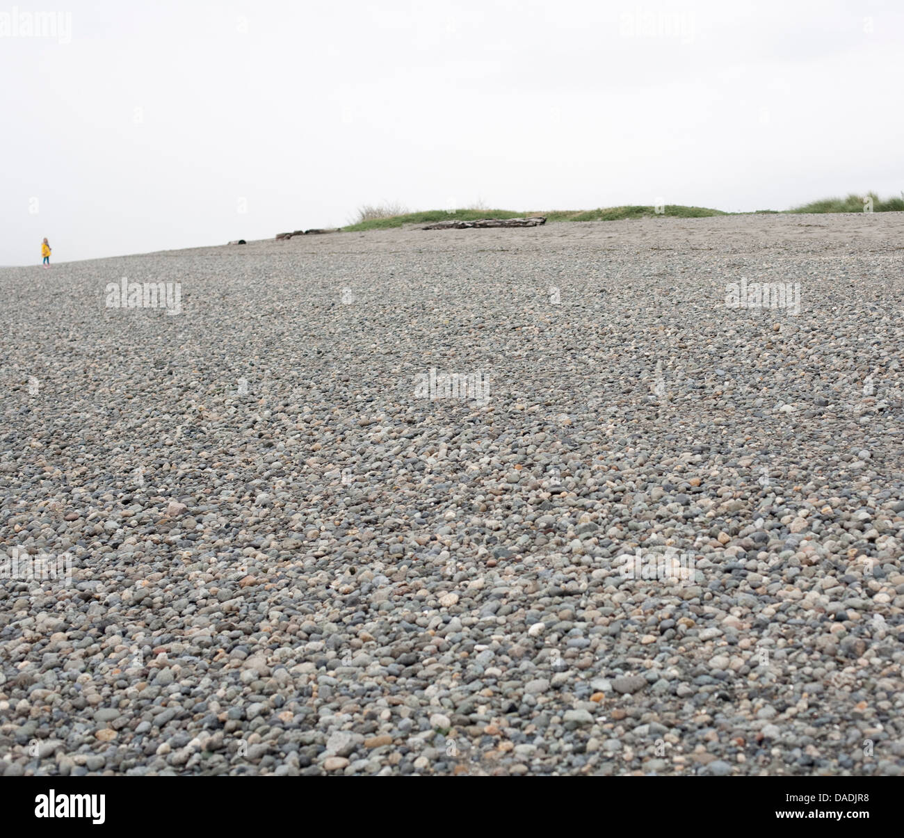 Pebbled hi-res stock photography and images - Alamy