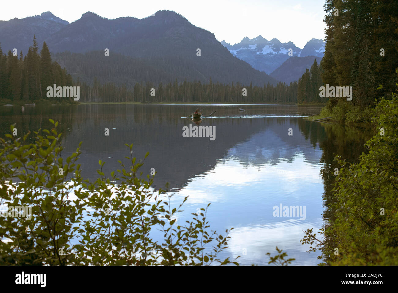 Washington cooper cooper hi-res stock photography and images - Alamy