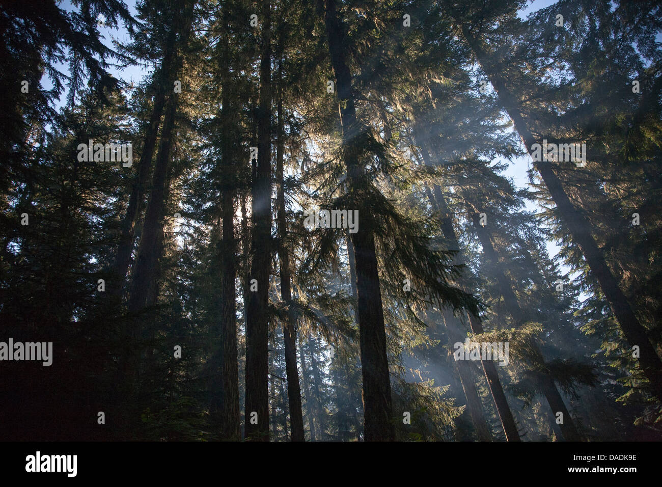 Hot sun hi-res stock photography and images - Alamy