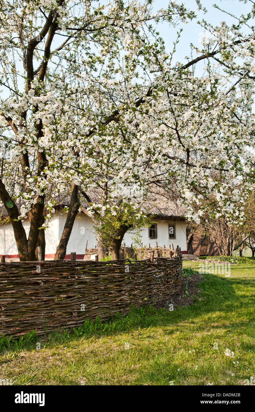 Ukrainian village in the spring Stock Photo - Alamy